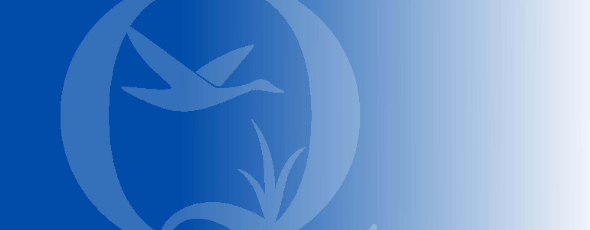 Banking and Lending | Queenstown Bank